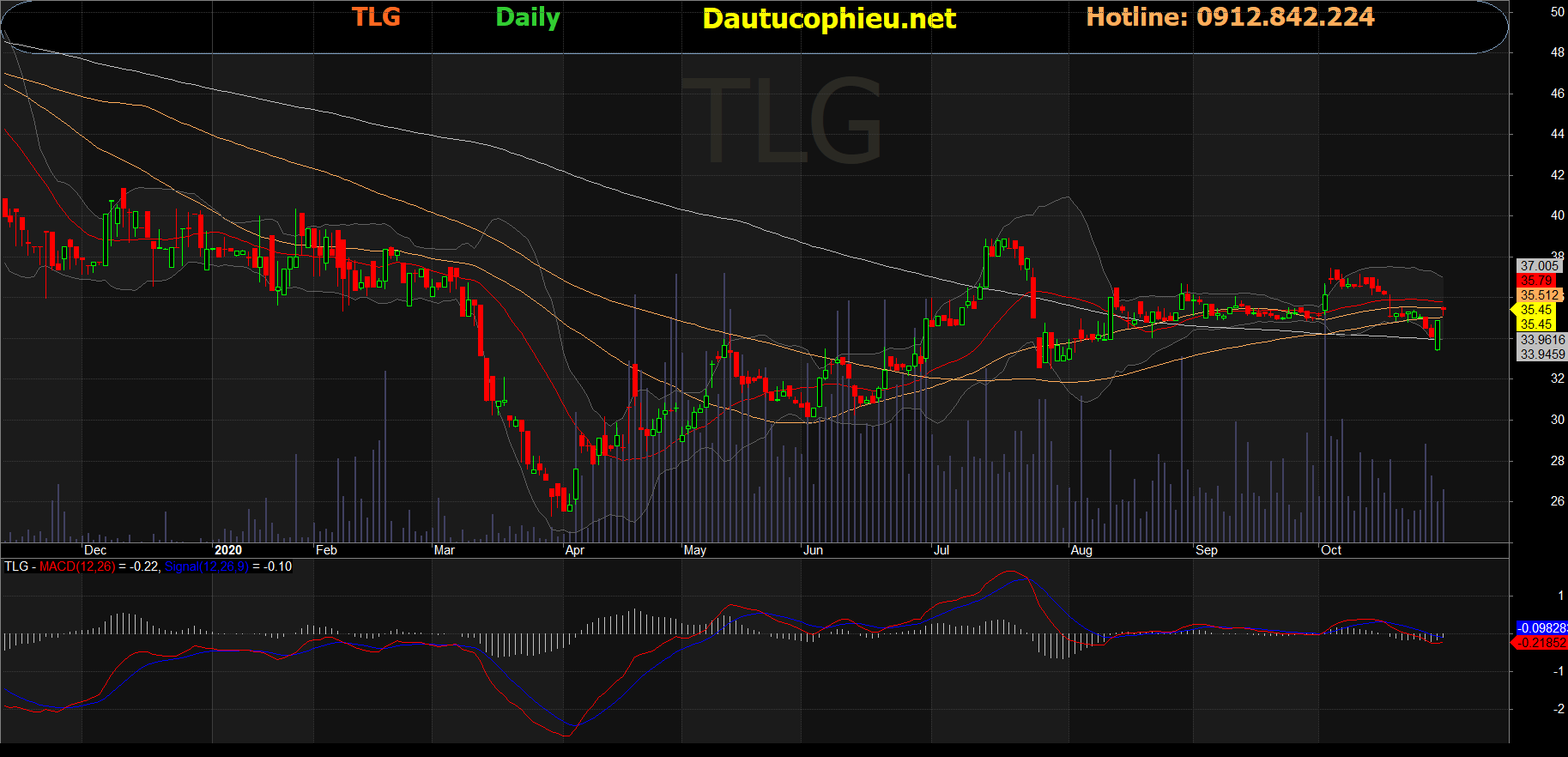 Cập nhật cổ phiếu TLG - Khuyến nghị mua vào với giá mục tiêu 45.300 đồng/cp