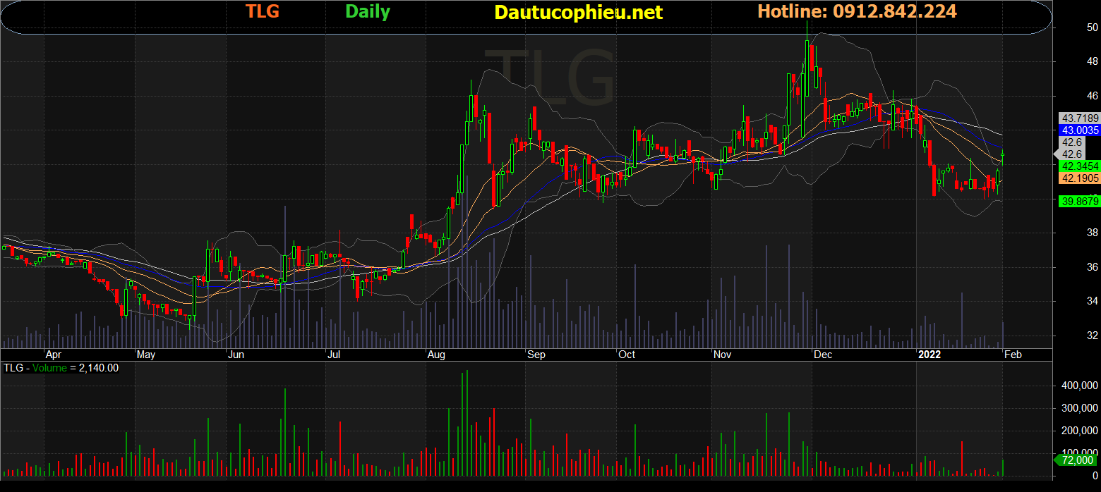 Cập nhật cổ phiếu TLG - Doanh thu và biên lợi nhuận tăng mạnh trong quý 4