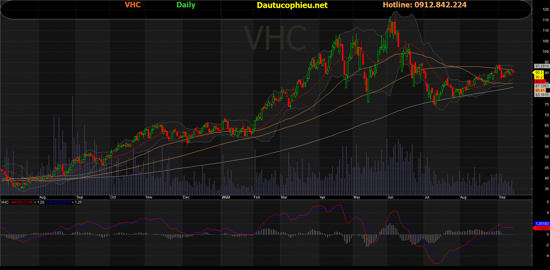 Cập nhật cổ phiếu VHC - Doanh thu tháng 8/2022 tăng 6% so với tháng trước
