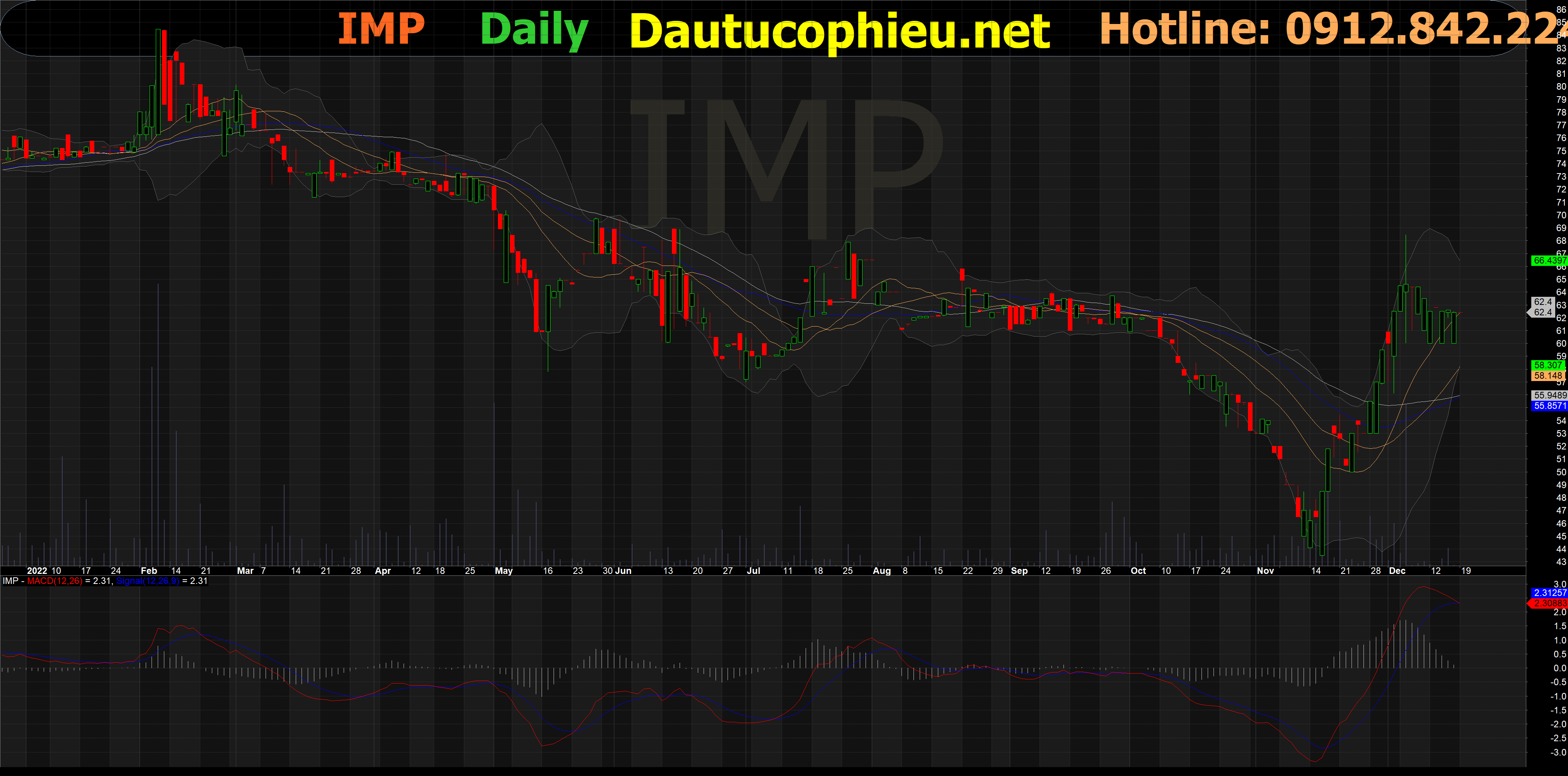 Cập nhật cổ phiếu IMP - Triển vọng tăng trưởng thấp khiến định giá chưa ...